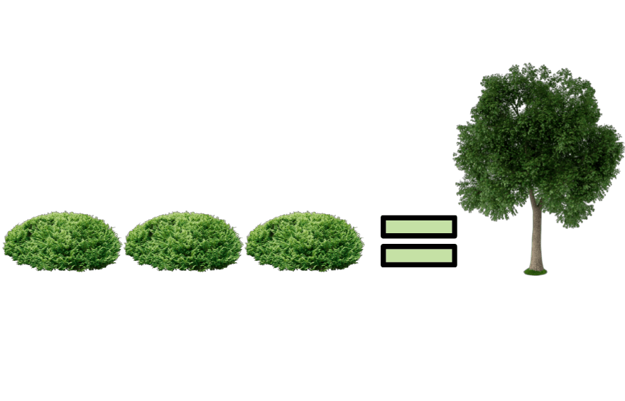5 Tips To Create A Pro Landscape Refresh [Budget Friendly]