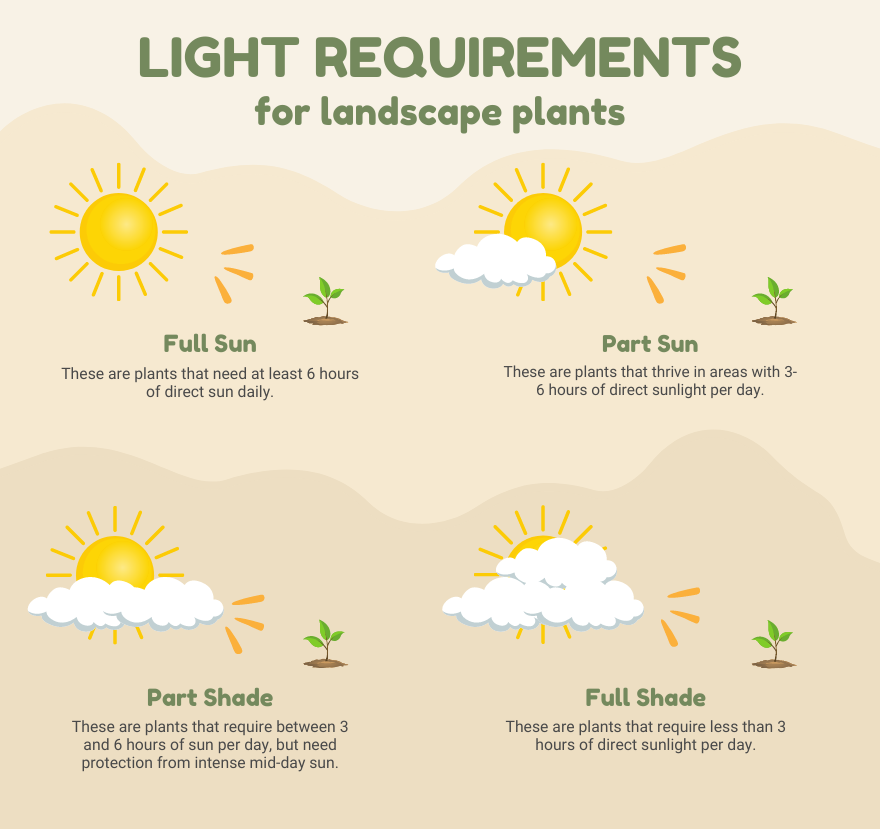 5 Tips To Create A Pro Landscape Refresh [Budget Friendly]