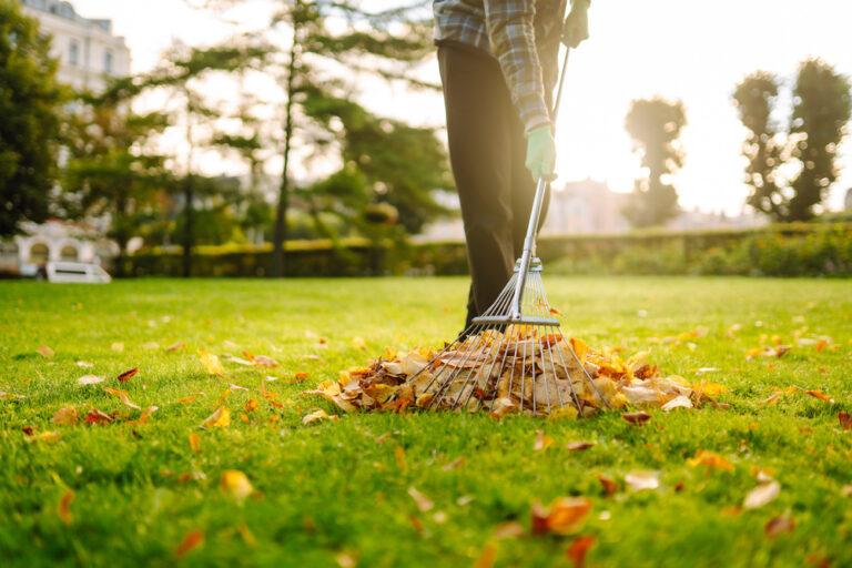 Fall Yard Maintenance: A Guide For Homeowners