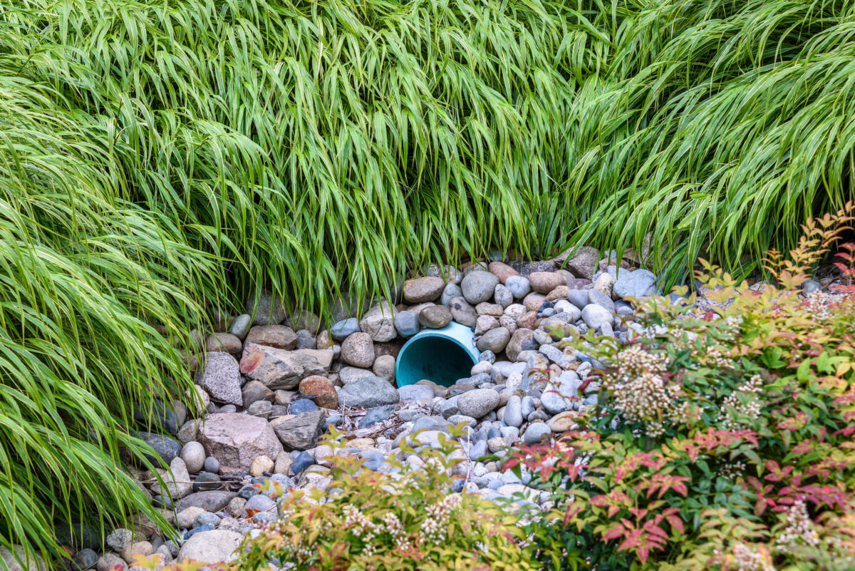 8 Landscape Drainage Tips For Your Home (2023)